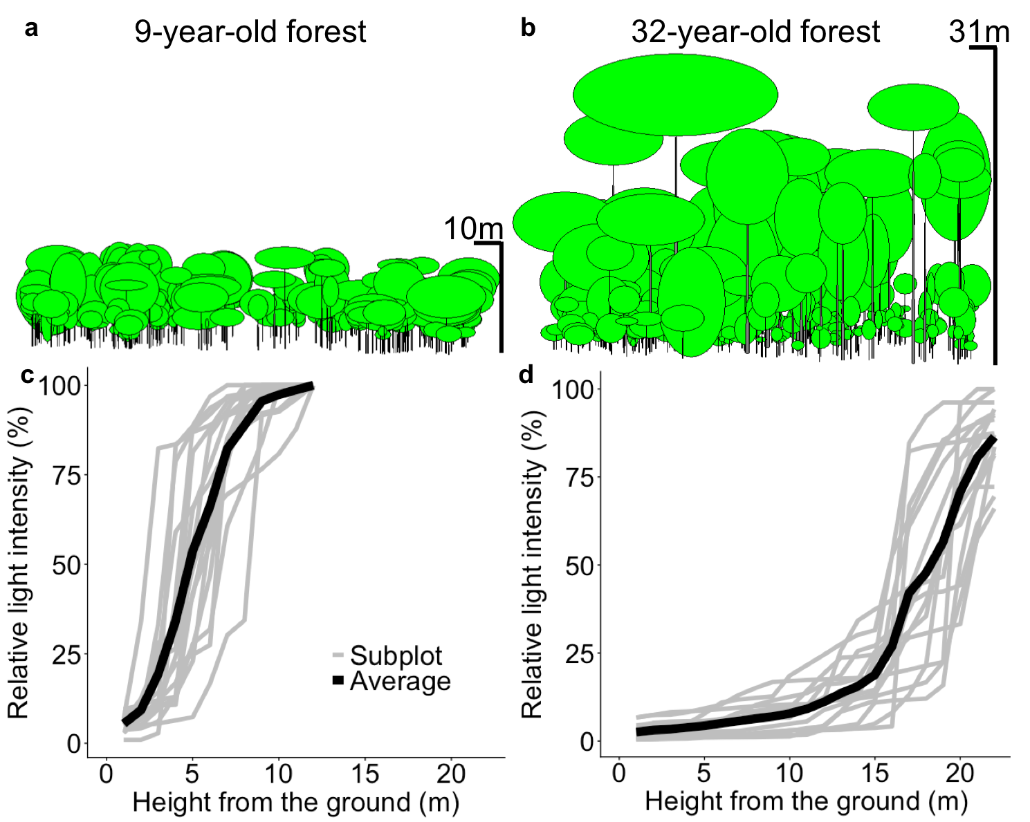 Publications – PANTROP