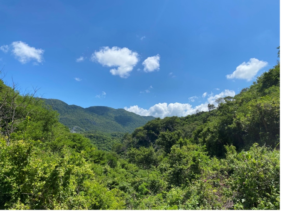 MSc students – PANTROP