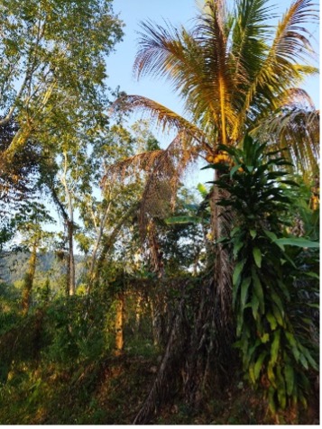 MSc students – PANTROP